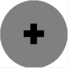 Grain Types - BurnSim Wiki